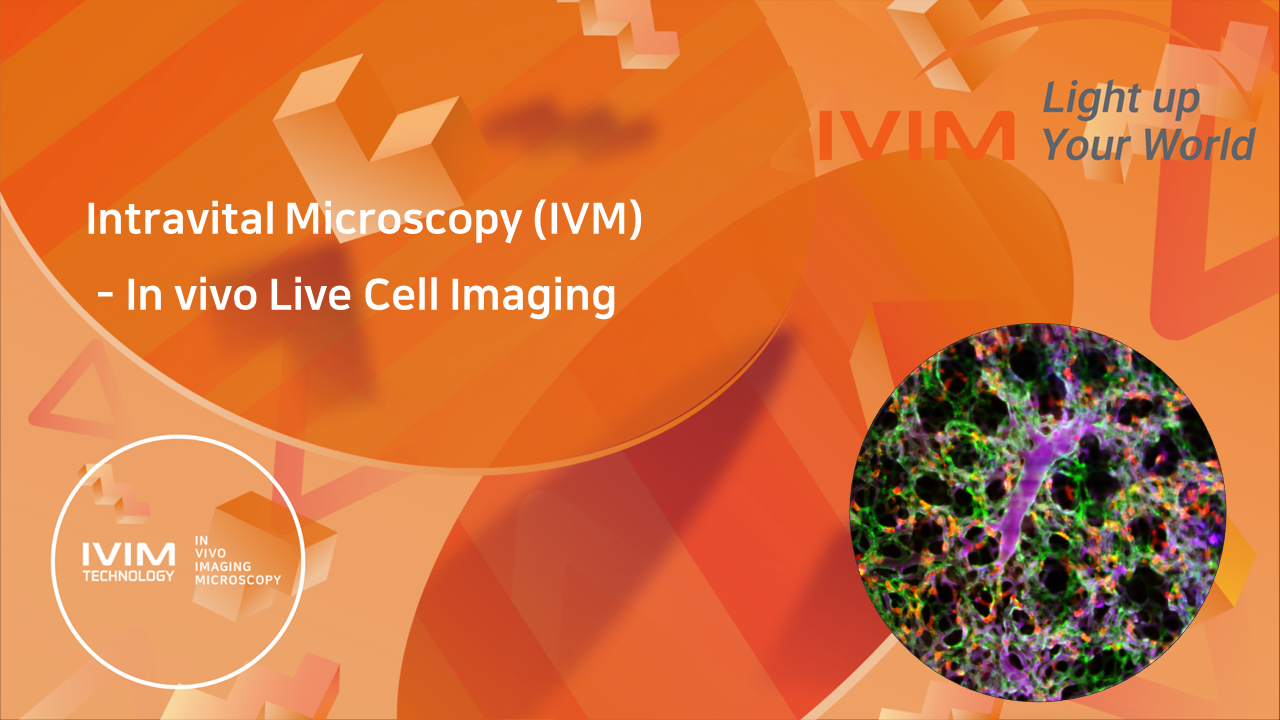 IVIM Technology - Global No.1 solution provider of IntraVital Microscopy