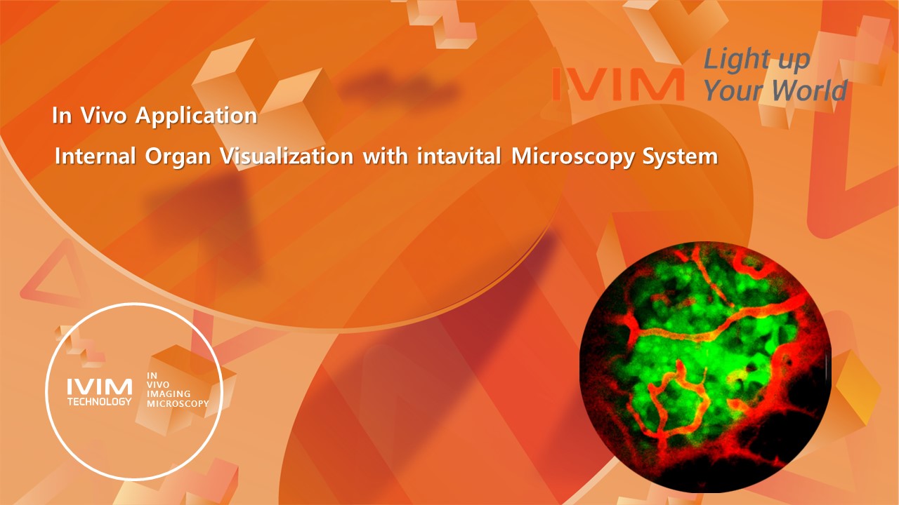 IVIM Technology - Global No.1 solution provider of IntraVital Microscopy
