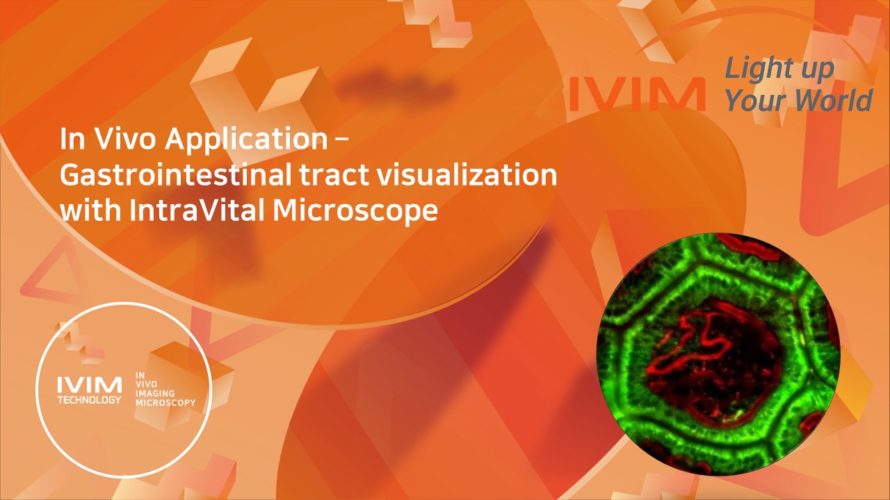 IVIM Technology - Global No.1 solution provider of IntraVital Microscopy