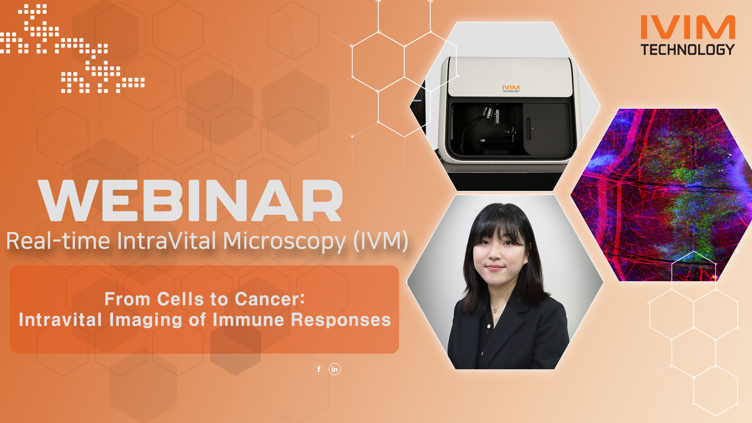 IVIM Technology - Global No.1 solution provider of IntraVital Microscopy